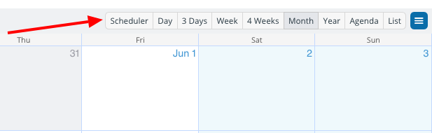 What Are Calendar Views 