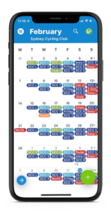 Create a Public Calendar for Your Community Members | Teamup Blog