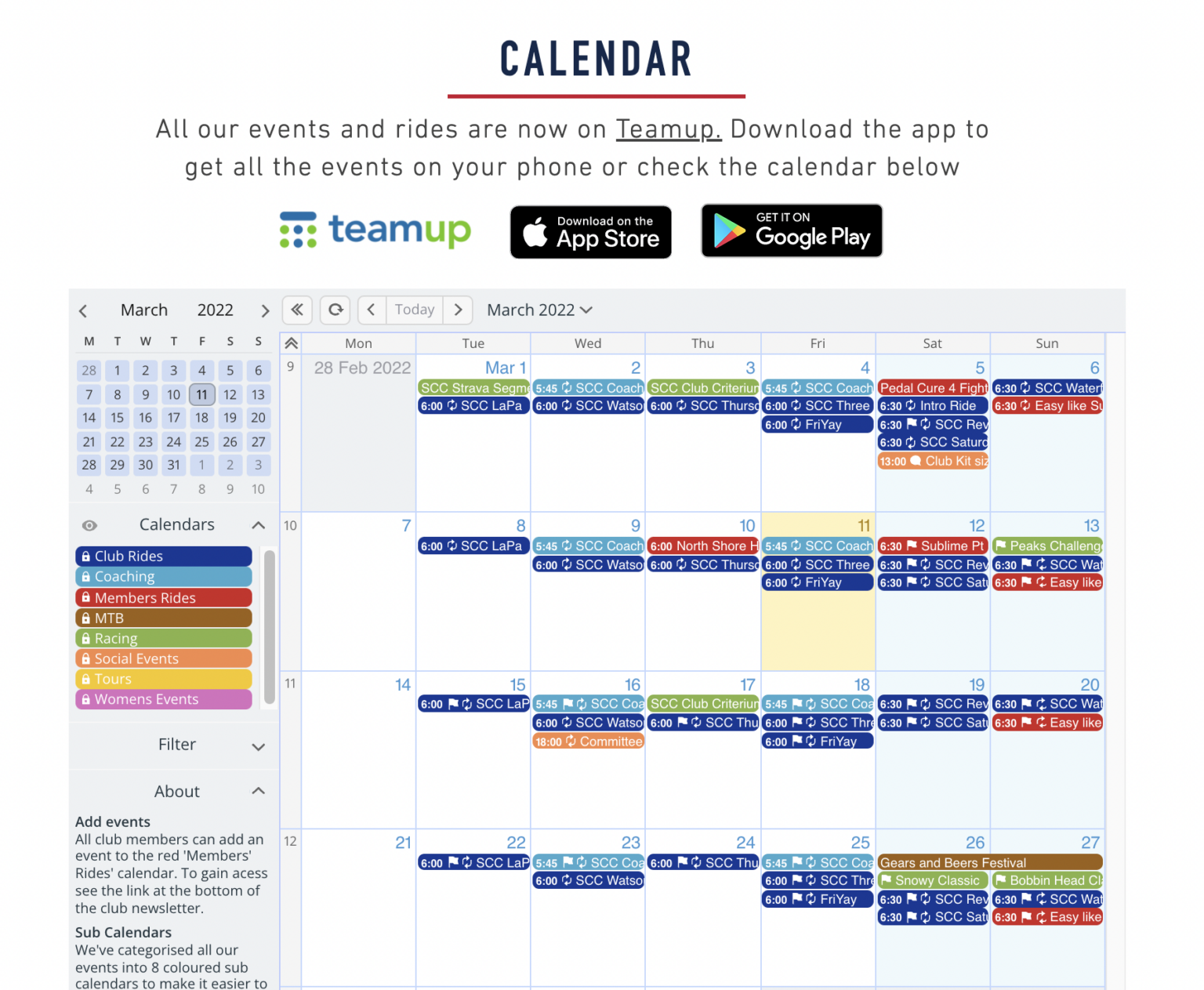 Create a Public Calendar for Your Community Members | Teamup Blog