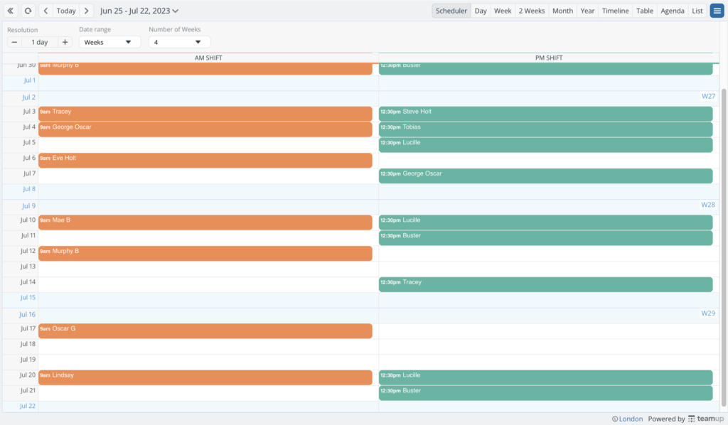How Are You Using the New Expanded Scheduler View? | Teamup Blog